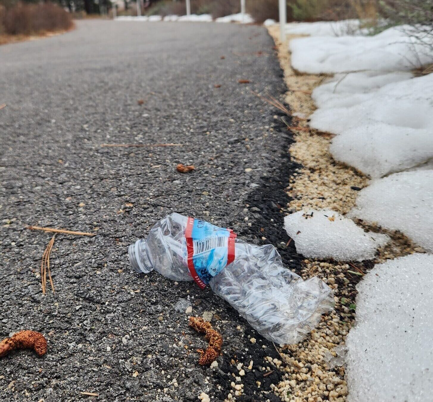 Bye-Bye Plastic: Banning Single-Use Plastic Water Bottles and Paper ...